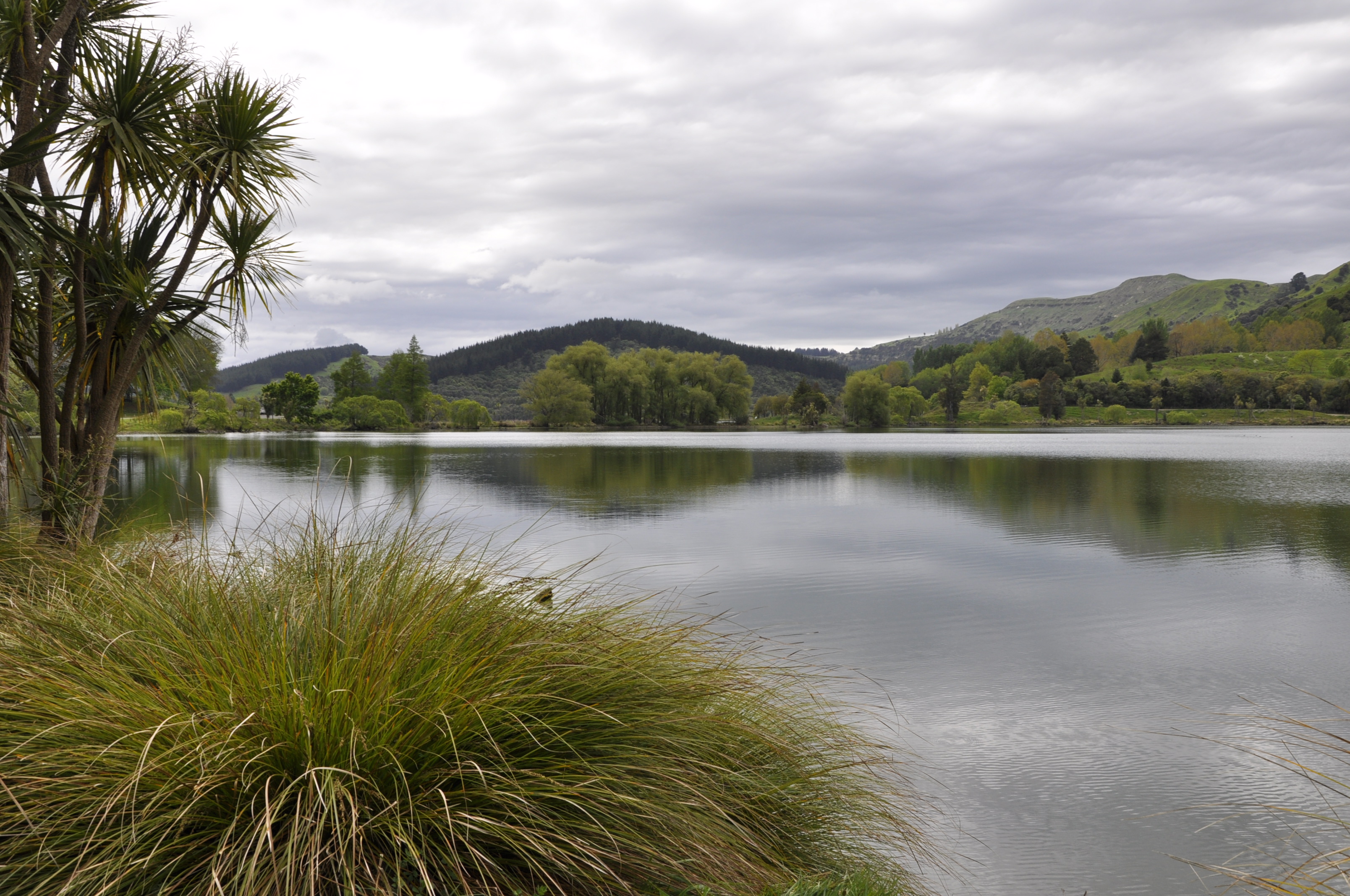 Understanding cyclone impact is key to recovery | Home | Hawke's Bay ...