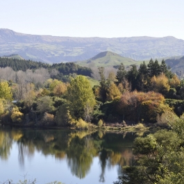 Tutira Regional Park | Hawke's Bay Regional Council