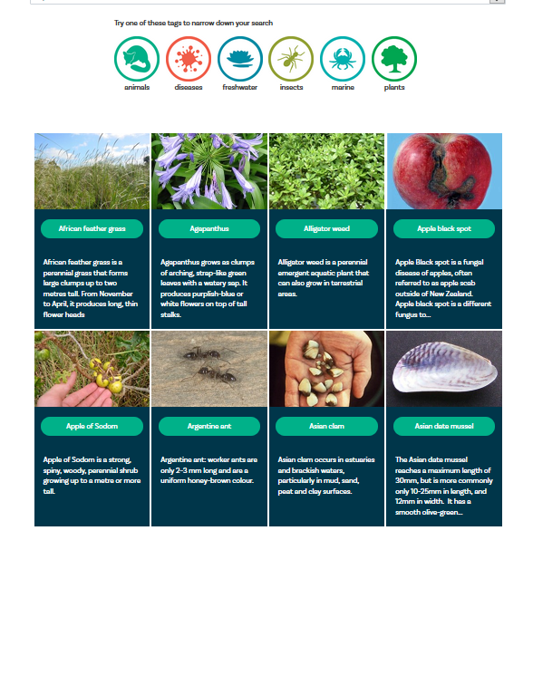 Pest Hub | Hawke's Bay Regional Council